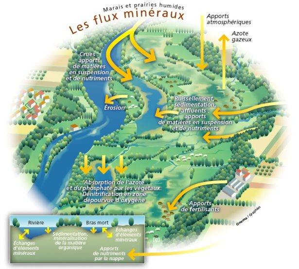 Zones humides et milieux annexes – Contrat Territorial Gartempe et Creuse